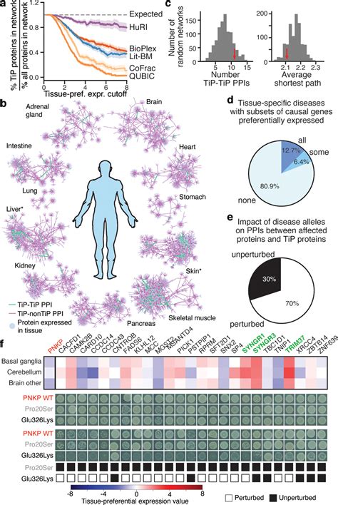 A Reference Map Of The Human Binary Protein Interactome Abstract Europe Pmc