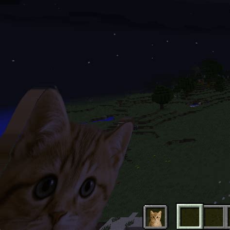 Cute Cat Totem Minecraft Resource Packs Curseforge