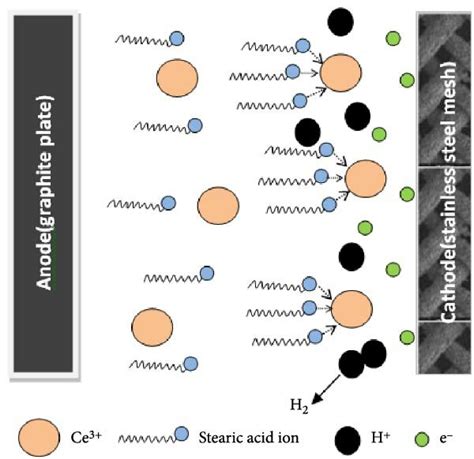 Schematic Diagram Of Electrodeposited Coating Formation Process