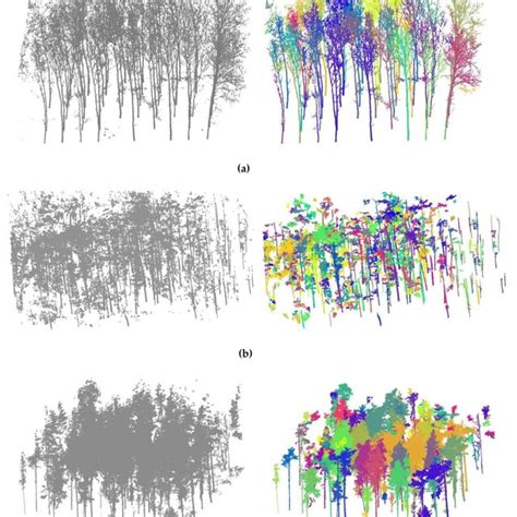 Individual Tree Extraction Result A Plot Gongan B Plot Wuhan C Download Scientific