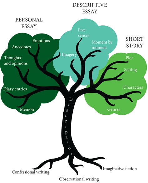 Difference Between Tree Diagrams And Flow Charts What Is The