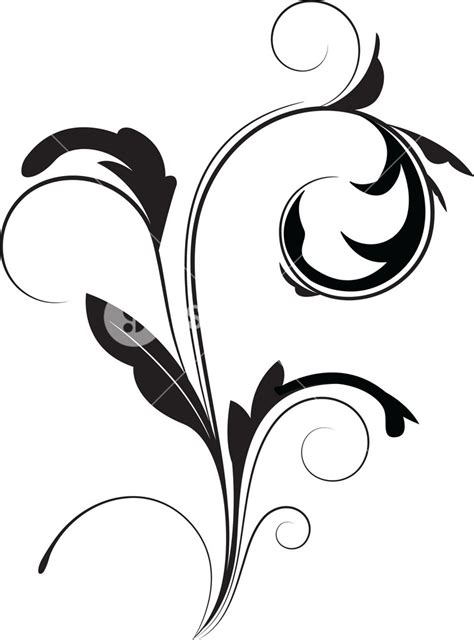 Vector Floral Curl Royalty Free Stock Image Storyblocks