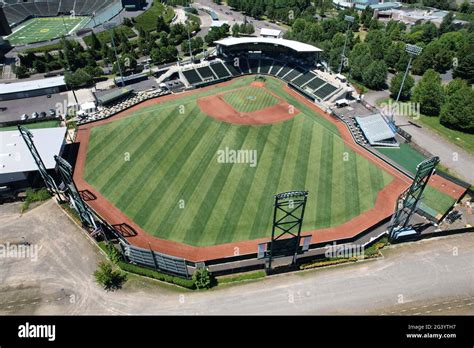 Baseball Team In Eugene Oregon At Noah Bugnion Blog