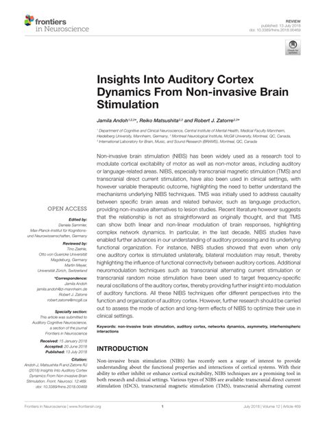 Pdf Insights Into Auditory Cortex Dynamics From Non Invasive Brain