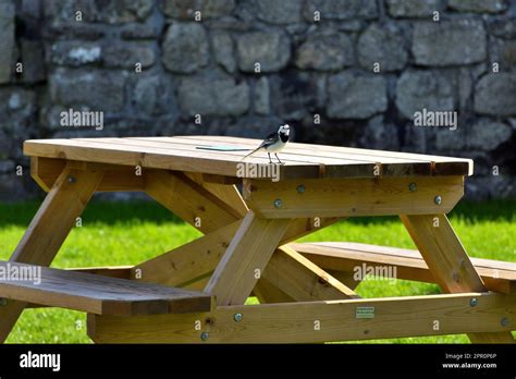Sunny Saint Michael S Mount In Cornwall Stock Photo Alamy