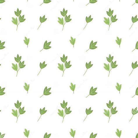 Green Branches Pattern Spring Leaves Seamless Vector Floral Pattern
