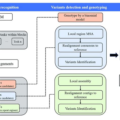 Ab The Venn Diagram Of Variant Calls Produced By Different Tools Download Scientific