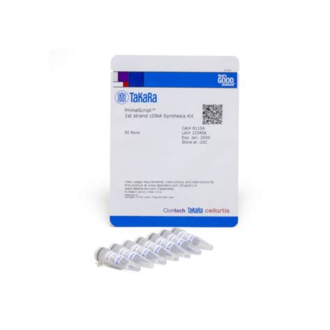PrimeScript 1st strand cDNA Synthesis Kit 200회 HLB바이오스텝 B2B MALL