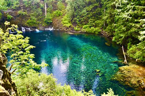 Hiking At Tamolitch Falls Blue Pool Oregon Tails