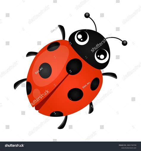Vector Ladybug Ladybug Vector Art And Graphics