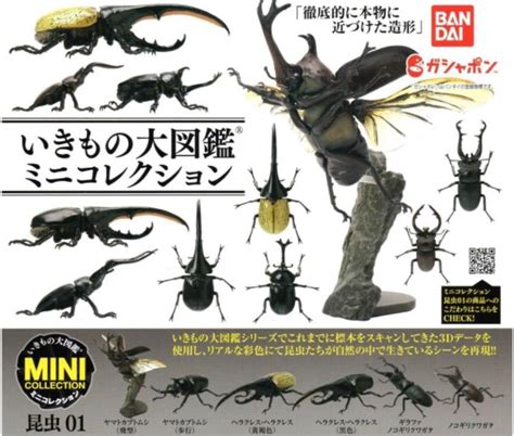 Amazon いきもの大図鑑ミニコレクション 昆虫01 全6種 ガチャ カプセル玩具 おもちゃ