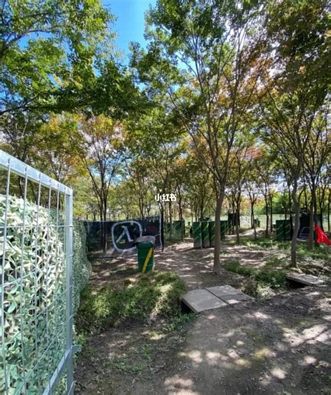 丛林真人cs来嗨战 花瓣网