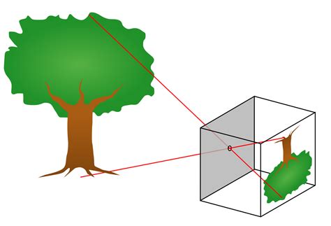 Câmera Pinhole Wikipédia A Enciclopédia Livre