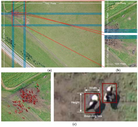 The Split UAV Image A The Original UAV Image The Overlapped Blue