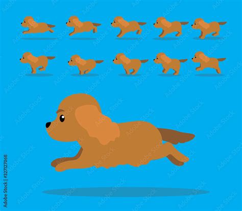 Animal Animation Sequence Dog Cocker Spaniel Cartoon Vector Stock