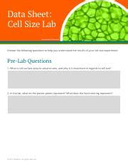 Understanding Cell Size Experiment Pre Lab Data Analysis Course Hero
