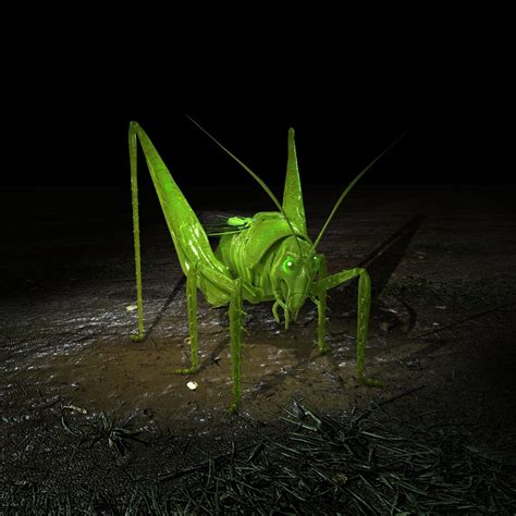 Grasshopper 3d C4d