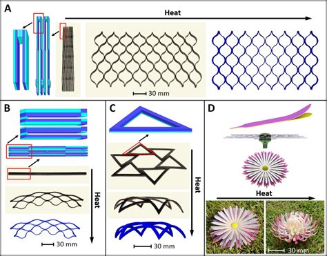 Direct 4d Printing Of Structures Consisting Of Multiple Elements A