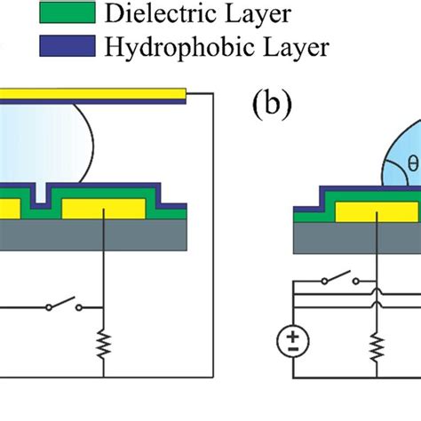 Droplet Velocity Versus Actuation Frequency In A Closed Configuration