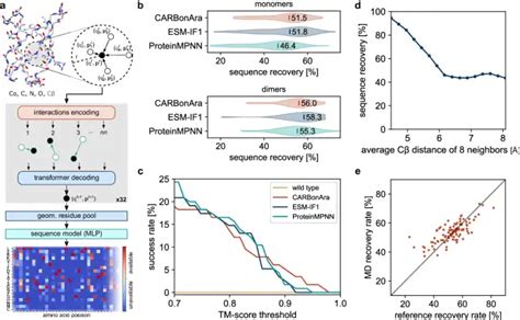 Context Aware Geometric Deep Learning For Protein Ainave