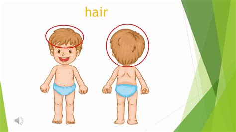 Частини тіла англійською Youtube