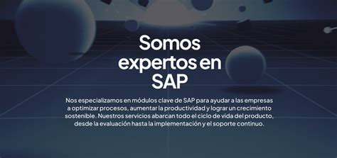 sap consulting services championsys