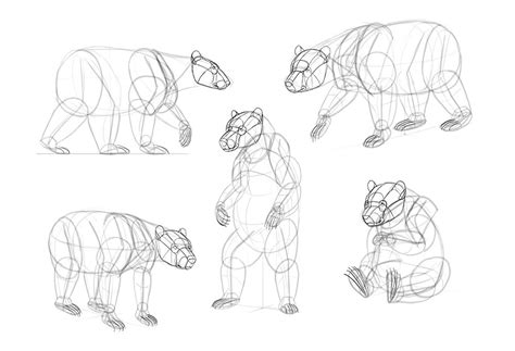 Sketchbook Original How To Draw Bears Monika Zagrobelna