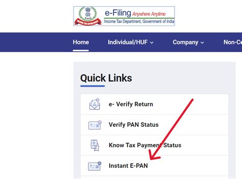 Instant E PAN Card Registration Download And Status Check
