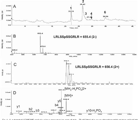 Figure 1 From Automated Identification And Quantification Of Protein Phosphorylation Sites By Lc