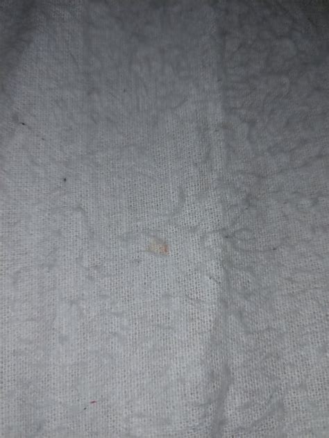 Possible Bed Bug Evidence Rbedbugs