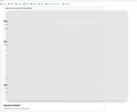 [mac] can not show the ui when exec wails dev · issue 1504