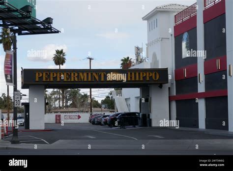 Las Vegas Nevada Usa 7th March 2024 Peppermint Hippo In Downtown Las