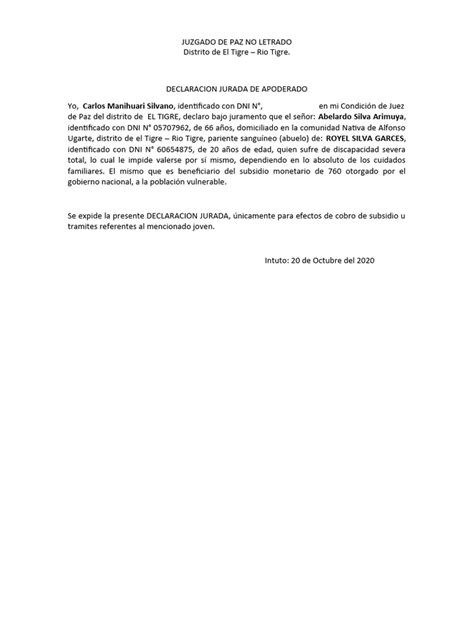 Declaracion Jurada De Apoderado Pdf