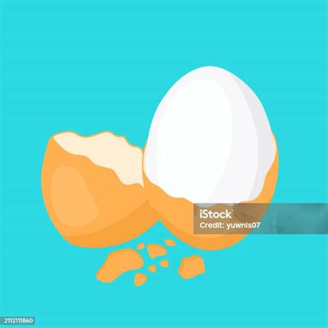삶은 달걀 금이 간 반 껍질을 벗긴 껍질 벡터 일러스트 레이 션 건강한 생활방식에 대한 스톡 벡터 아트 및 기타 이미지 건강한 생활방식 건강한 식생활 계란 노른자