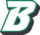 Binghamton University Templates Scispace