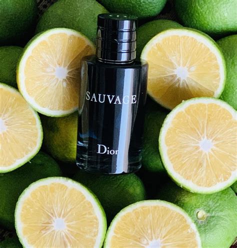 Sauvage Dior Cologne - ein es Parfum für Männer 2015