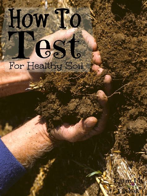 Soil Test For Healthy Soil And Maximum Yield Possibilities Farm Fit Living