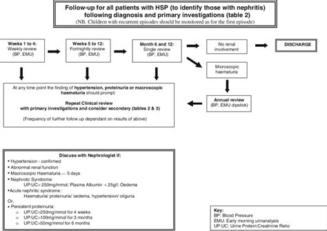 Detection And Referral Of Patients With HSP Nephritis Adapted From Download Scientific Diagram