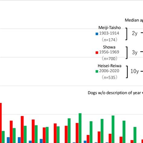 Age Distribution Of Necropsied Dogs Download Scientific Diagram