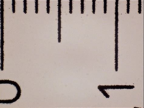 Solved How Can I Set A Proper Scale Bar In Confocal Images Using Fiji