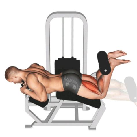 Lying Leg Curls By David Morgan Exercise How To Skimble
