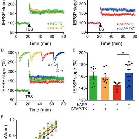 The Hippocampal Trisynaptic Circuit Based On Extensive Anatomical And Download Scientific