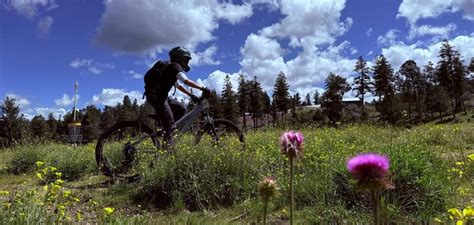 Record Breaking Crowd Races At Cloudcrofts High Altitude Classic