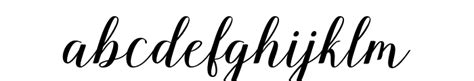 Nelga Script Font What Font Is