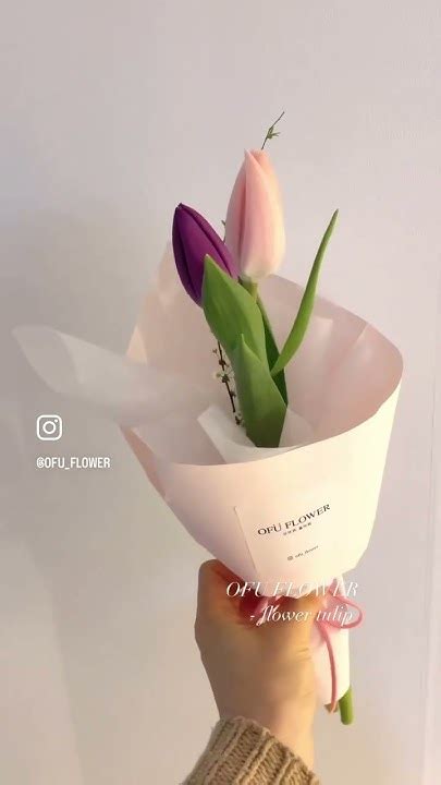 꽃다발 튤립 꽃다발포장 핸드타이드 꽃집창업 플로리스트일상 꽃다발만들기 꽃집일상 브이로그 여자친구선물 Tulip Tulipflower Youtube