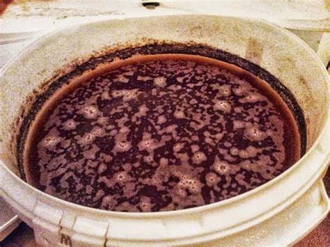 Wl Brett Lambicus 12 Days And Bubbling Rhomebrewing