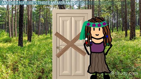 Impermeable Biology The Cell Membrane Transport Across Membranes