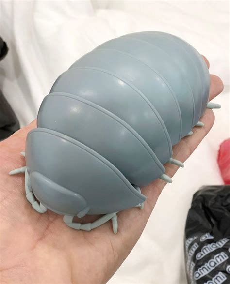 Bandai Gashapon Dango Mushi Dangomushi Pill Bug Roly Poly Hobbies