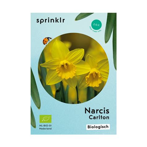 Narcis Carlton Biologische Bloembollen Sprinklr