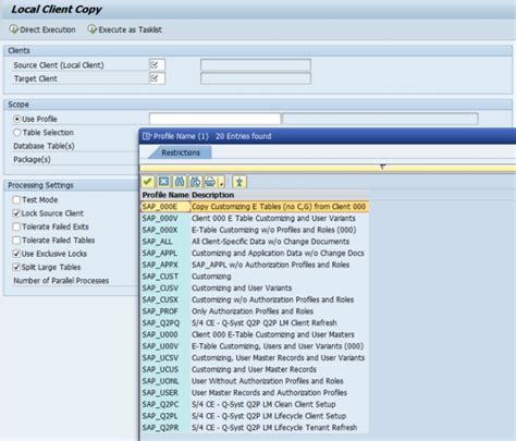 Things To Know When Using SAP CUST Client Copy Pro SAP Community